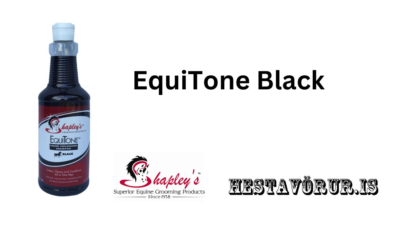 EquiTone Black shampoo - Hestavörur